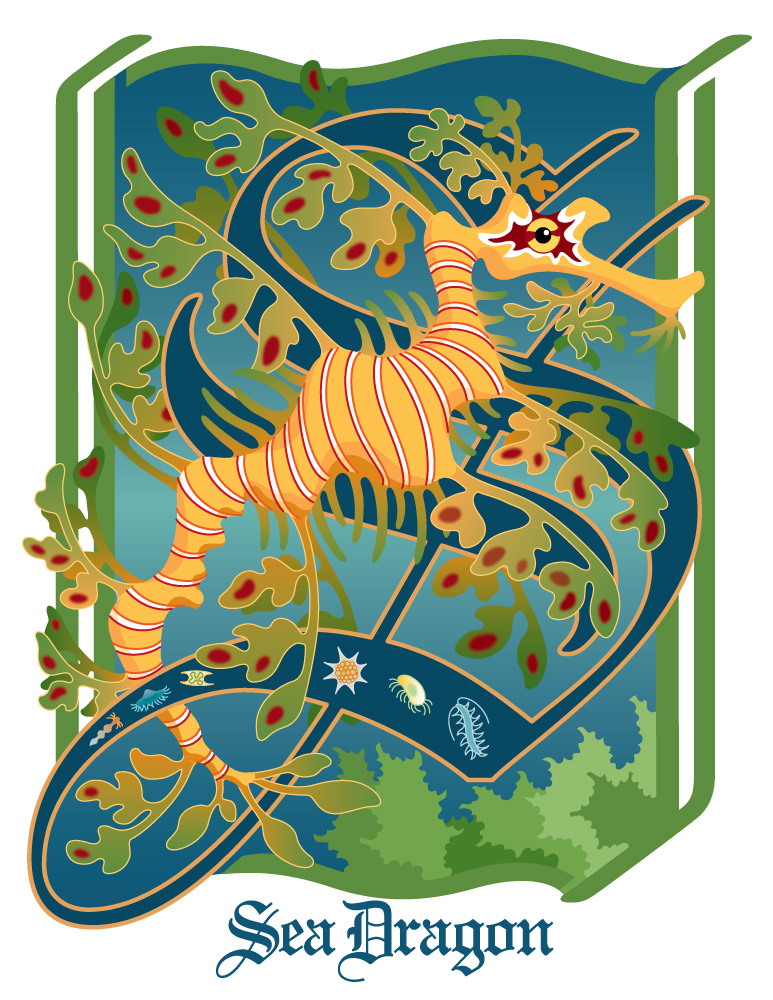 Barbara Ball — Illustrator